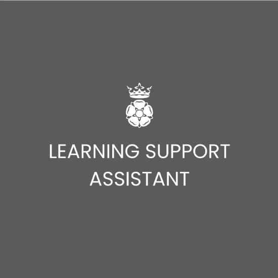 Learning Support Assistant (SEN) Vacancies - King Ecgbert School